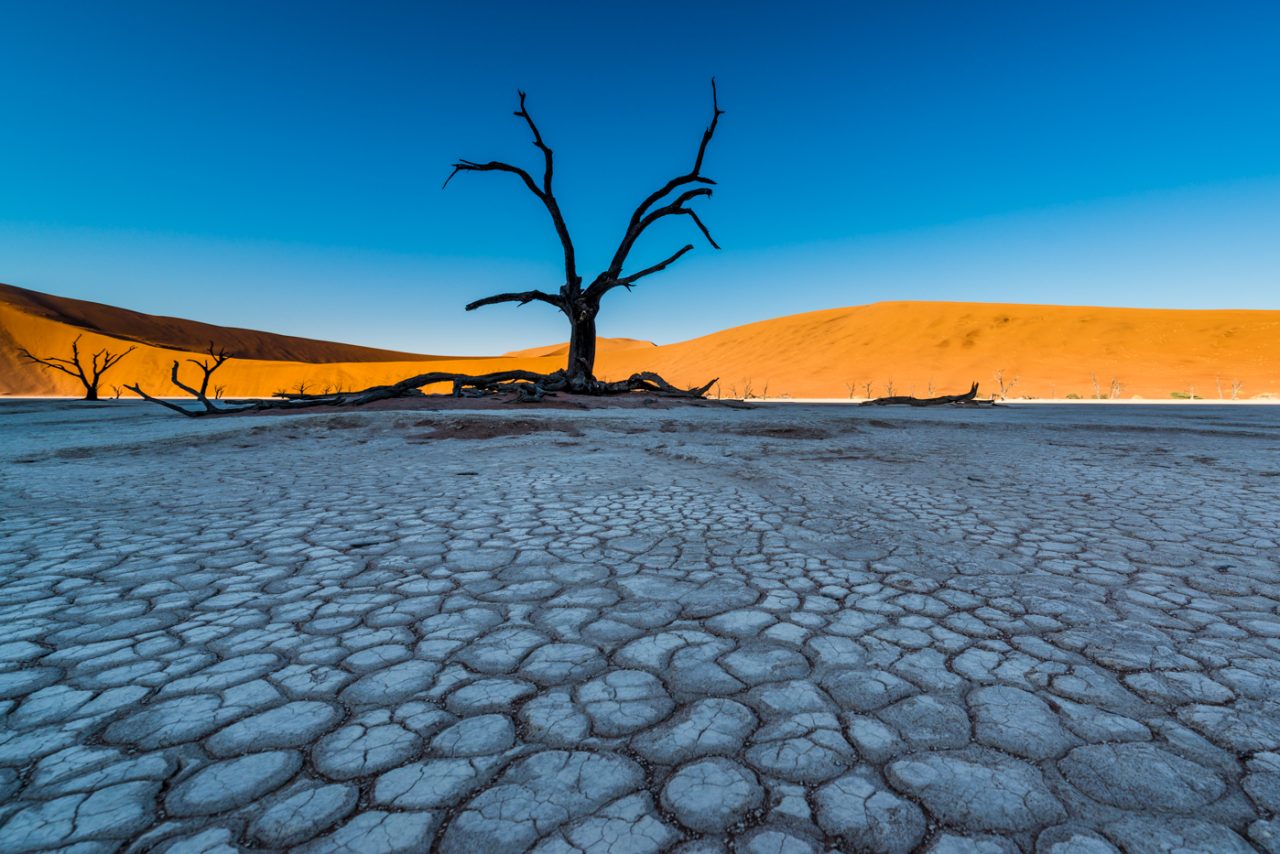 Wildlife and Nature Photography Tours | WildNature Photo Expeditions